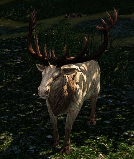 Ruins Reindeer - Official Riders of Icarus Wiki