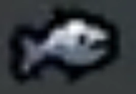 Fish (RadF) | Ridiculous Fishing Wiki | Fandom