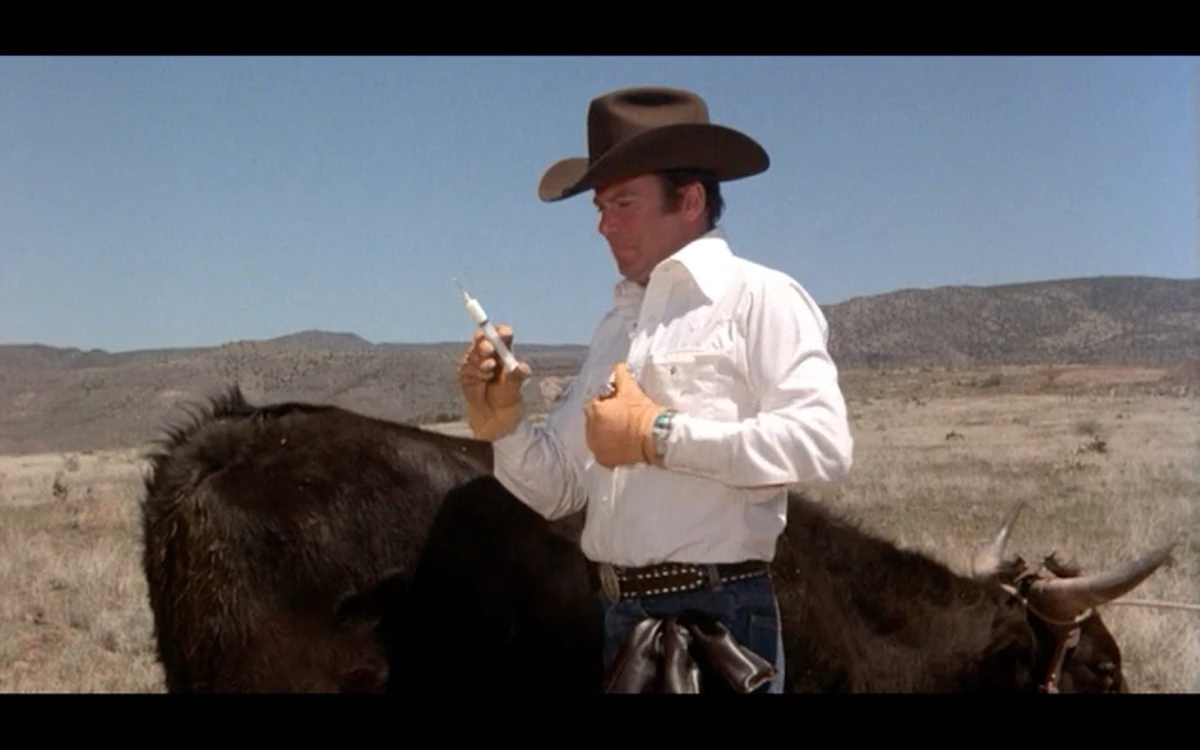 Kingdom of the Spiders | RiffTrax Wiki | Fandom