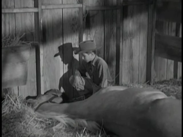 The Pet | The Rifleman Wiki | Fandom