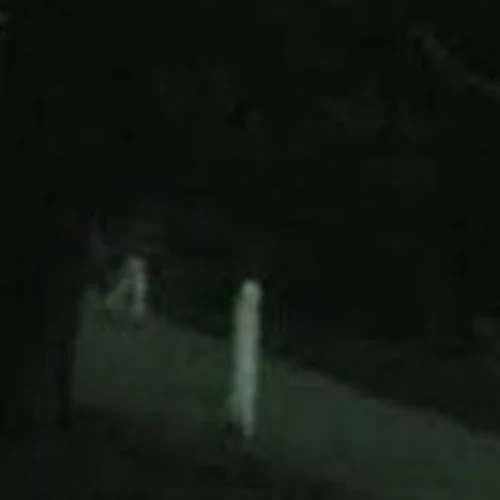 Fresno Nightcrawler | Rifqi Present: Urban Legends Wiki | Fandom