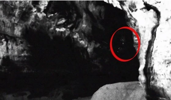 Hang Sơn Đoòng Devil Creature | Rifqi Present: Urban Legends Wiki | Fandom