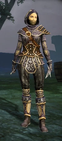 Assassin | RIFT Wiki | Fandom