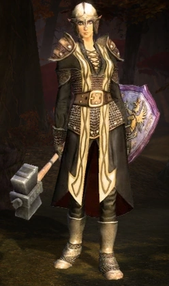 Sentinel | RIFT Wiki | Fandom