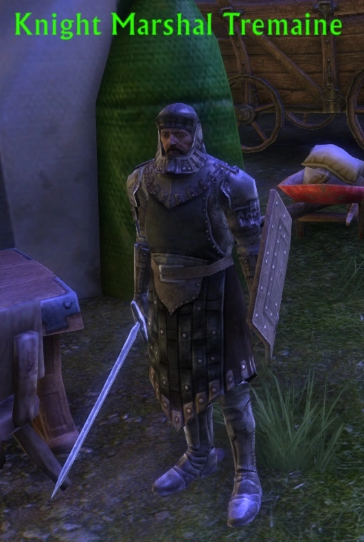 Knight Marshal Tremaine | RIFT Wiki | Fandom