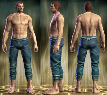 Guardian Raid Cloth Set | Rift Wardrobe Wiki | Fandom