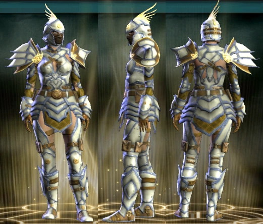 Guardian Raid Leather Set | Rift Wardrobe Wiki | Fandom