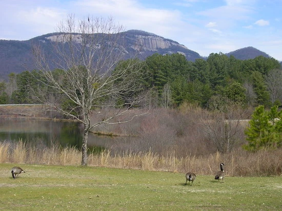 Freeman's Gap, South Carolina | The Righteous Gemstones Wiki | Fandom