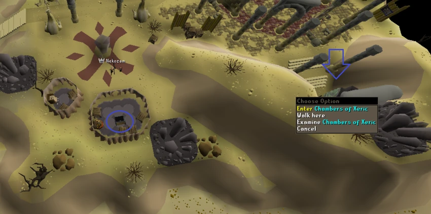 CoX Guide | Rigour Wiki | Fandom