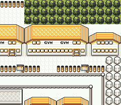 Saffron Gym | Rijon Wiki | Fandom