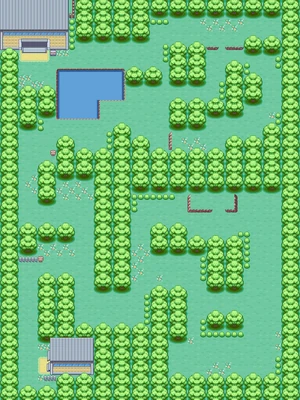 Ilex Forest | Rijon Wiki | Fandom