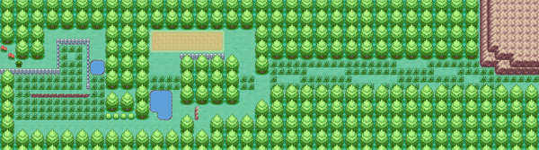 Route 63 | Rijon Wiki | Fandom