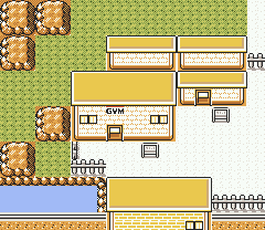 Goldenrod Gym | Rijon Wiki | Fandom