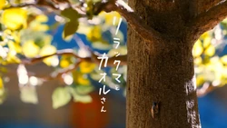 Fireworks | Rilakkuma Wiki | Fandom
