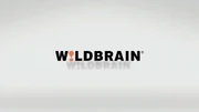 Wildbrain Entertainment | Riley's Logos Wiki | Fandom