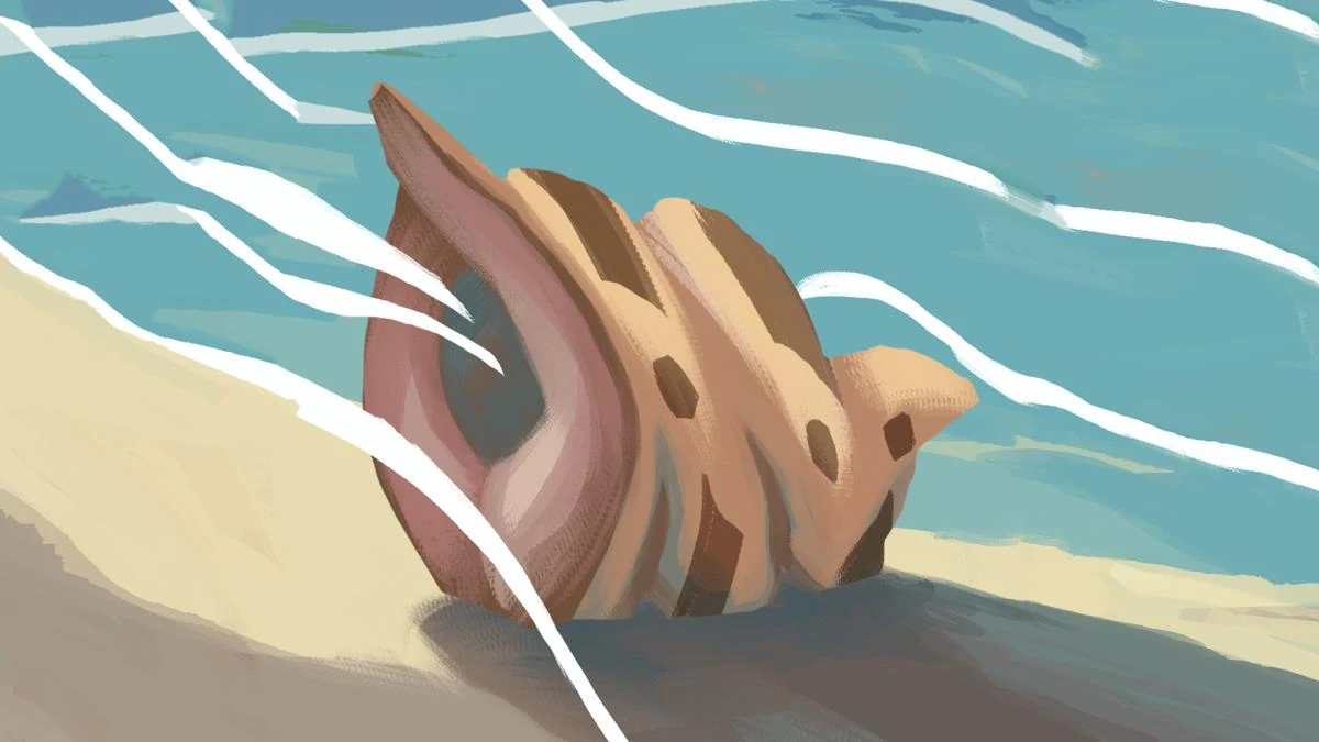 Lullaby shells | RiME Wiki | Fandom