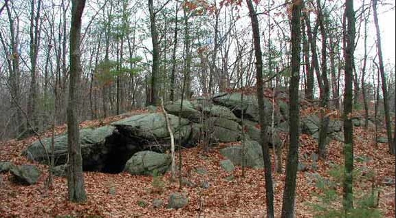 Warriors den | Rimu Clan Roleplaying Wiki | Fandom