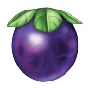 Fruta Chan | Wiki Rinconamia Expanded | Fandom