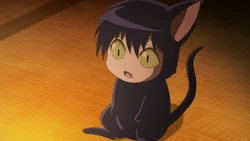 Rokumon | Kyōkai no Rinne Wiki | Fandom