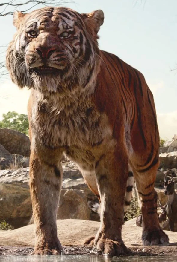 Jonathan Barnavelt | The Rio 3 Encyclopedia Wiki | Fandom