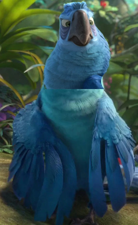 Eduardo | The Rio 3 Encyclopedia Wiki | Fandom