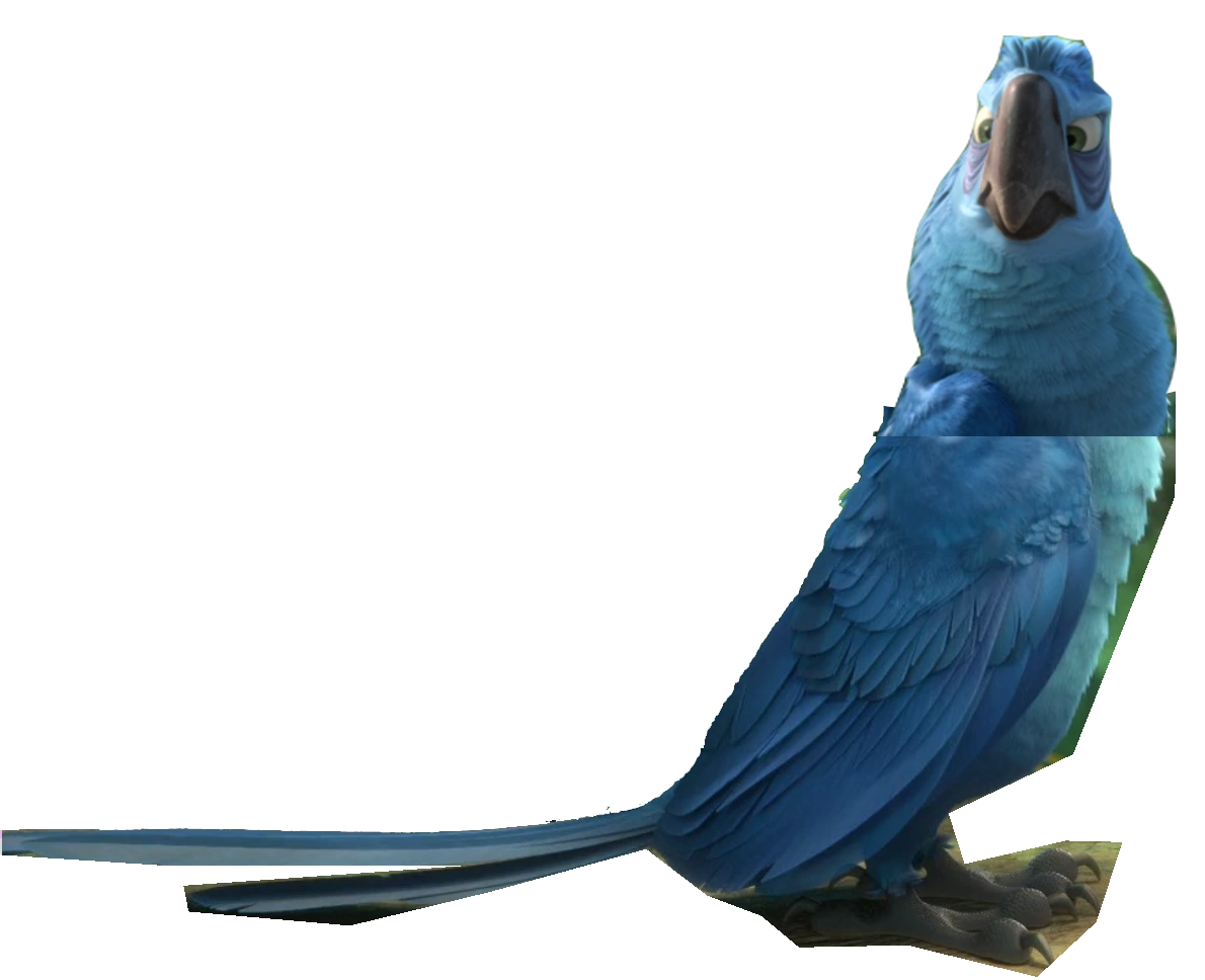 Eduardo | Rio 3: There and Back Again (2020) Wiki | Fandom