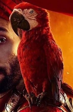 Enrico | Rio 3 Wiki | Fandom