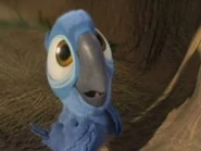 Lista de Personajes | Wiki Rio Pelicula | Fandom