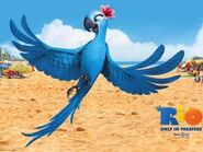 Perla | Wiki Rio Pelicula | Fandom