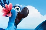 Blu | Wiki Rio Pelicula | Fandom