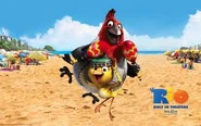 Blu | Wiki Rio Pelicula | Fandom