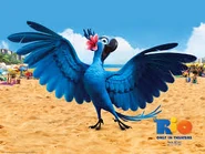Lista de Personajes | Wiki Rio Pelicula | Fandom