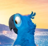 Blu | Wiki Rio Pelicula | Fandom