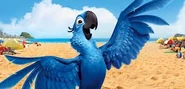 Blu | Wiki Rio Pelicula | Fandom