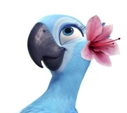 Blu | Wiki Rio Pelicula | Fandom