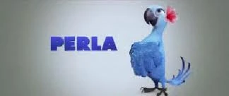Usuario Blog:Bluscrat/Perla | Wiki Rio Pelicula | Fandom