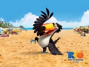 Lista de Personajes | Wiki Rio Pelicula | Fandom