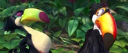 Toucan Family | Rio Wiki | Fandom