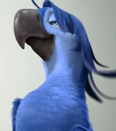 Roberto | Wiki Río | Fandom