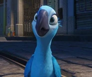 Perla | Wiki Río | Fandom