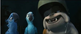 Luiz | Rio Wiki | Fandom