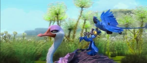 Greater rhea | Rio Wiki | Fandom
