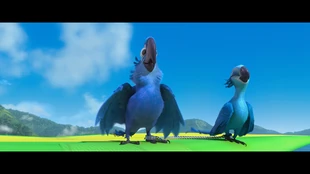 Julia | Rio Wiki | Fandom