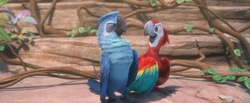 Rio 2 Felipe