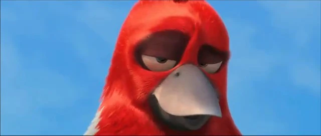 Pedro | Rio Wiki | Fandom