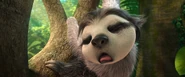 Rapping Sloth | Rio Wiki | Fandom
