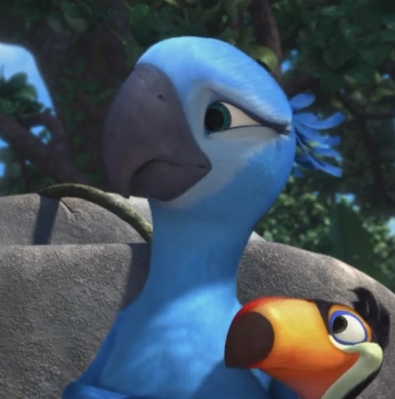 Toucan Kids/Gallery | Rio Wiki | Fandom