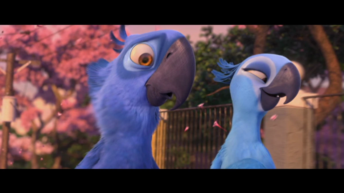 Santa Teresa Neighborhood/Gallery | Rio Wiki | Fandom