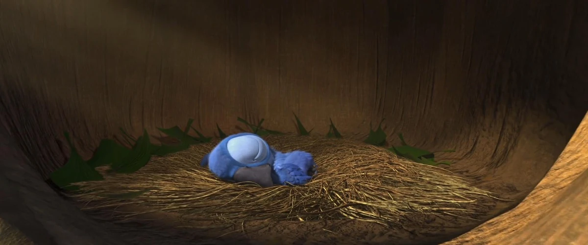 Blu/Galeria | Rio Wiki | Fandom