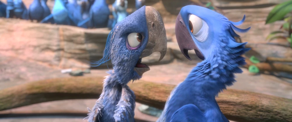 Old Macaw | Rio Wiki | Fandom